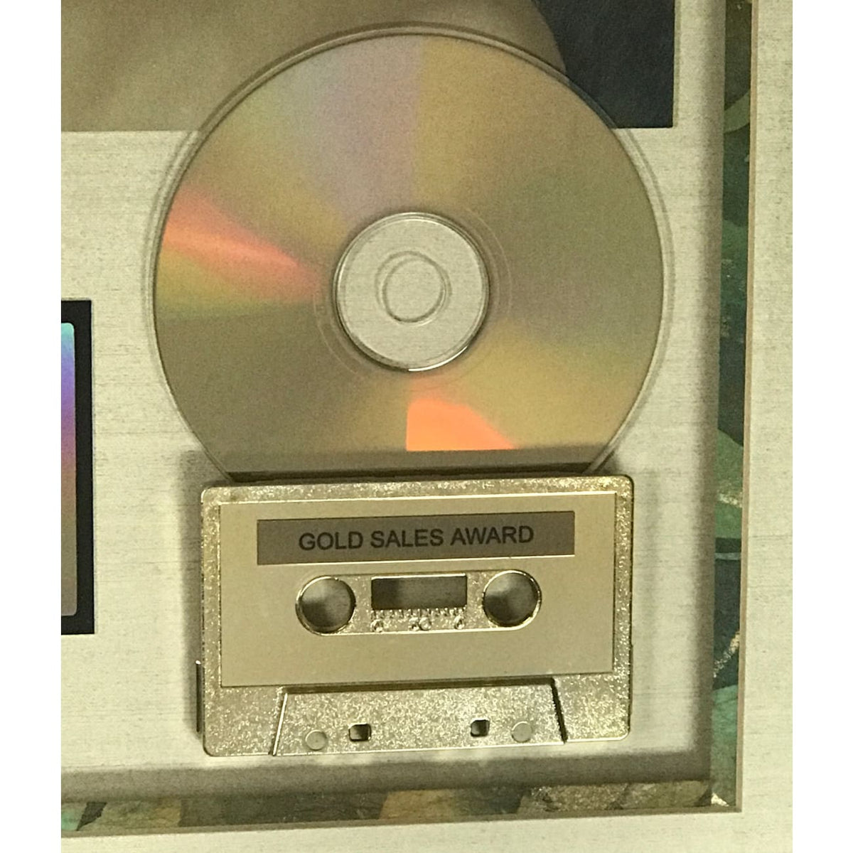 musicgoldmine.com - Shawn Colvin A Few Small Repairs RIAA Gold Album Award – MusicGoldmine.com