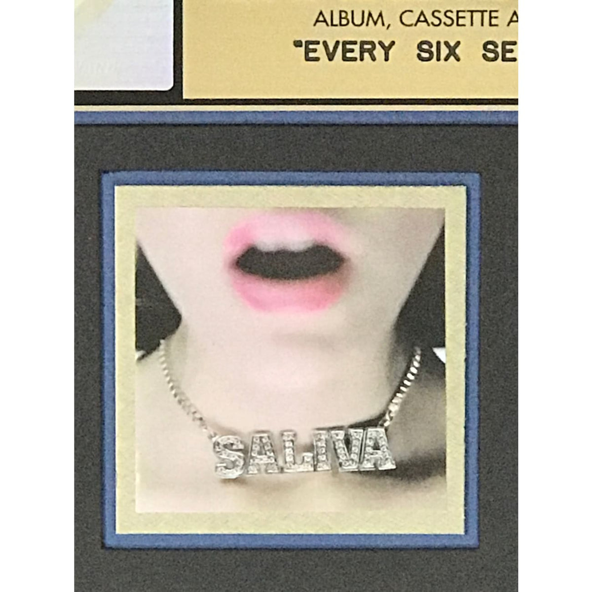 musicgoldmine.com - Saliva Every Six Seconds RIAA Gold Album Award ...
