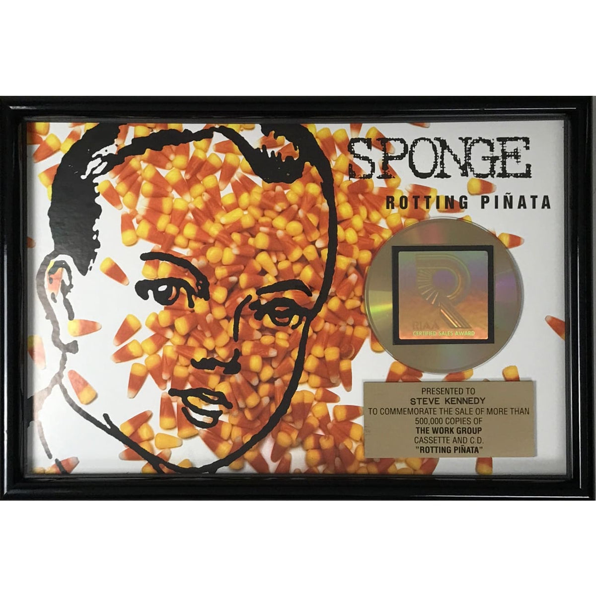 musicgoldmine.com - Sponge Rotting Pinata RIAA Gold Album Award ...