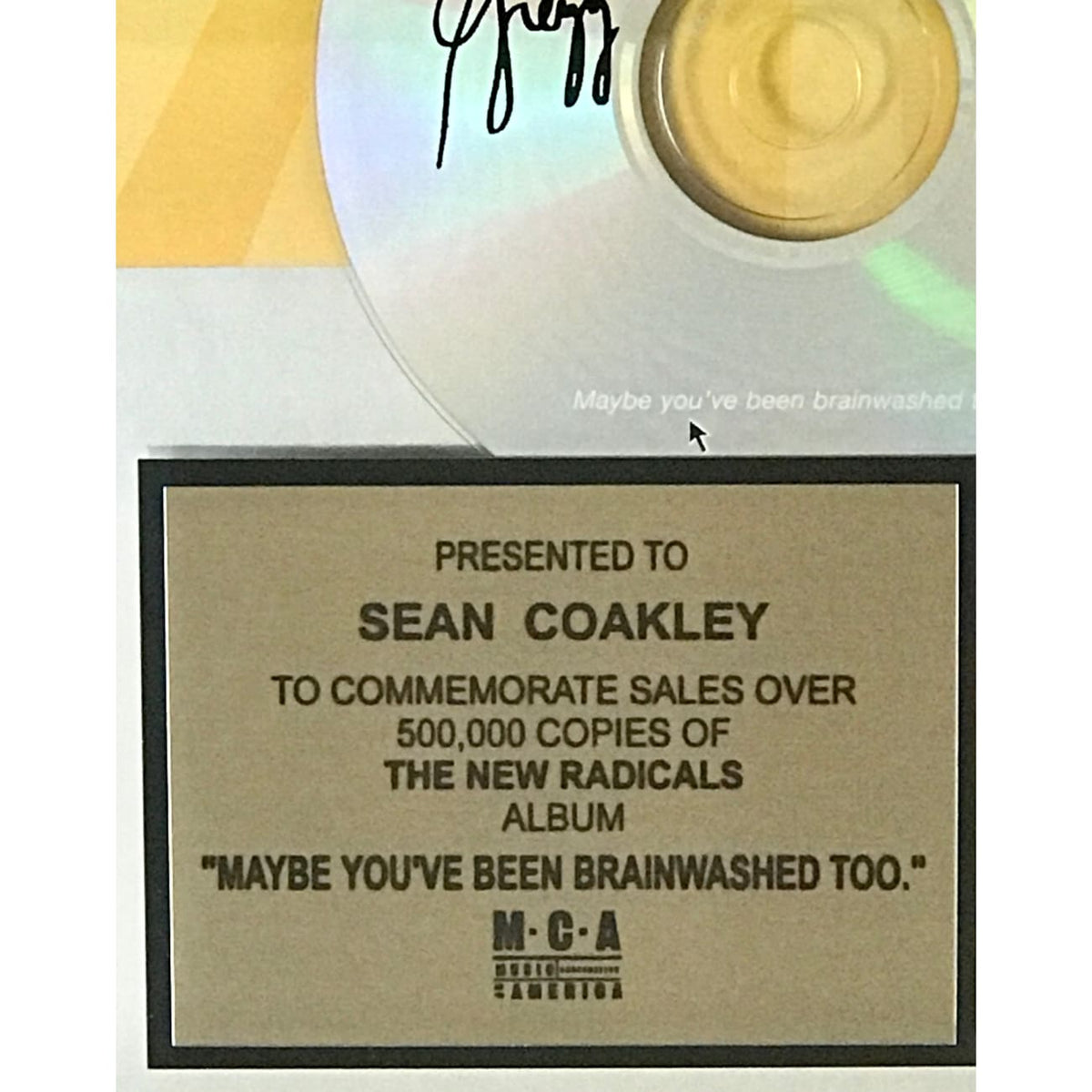 musicgoldmine.com - The New Radicals Maybe You've Been Brainwashed Too ...