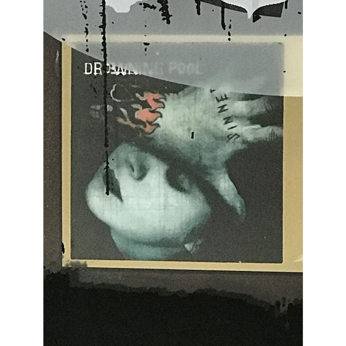 musicgoldmine.com - Drowning Pool Sinner RIAA Gold Album Award ...