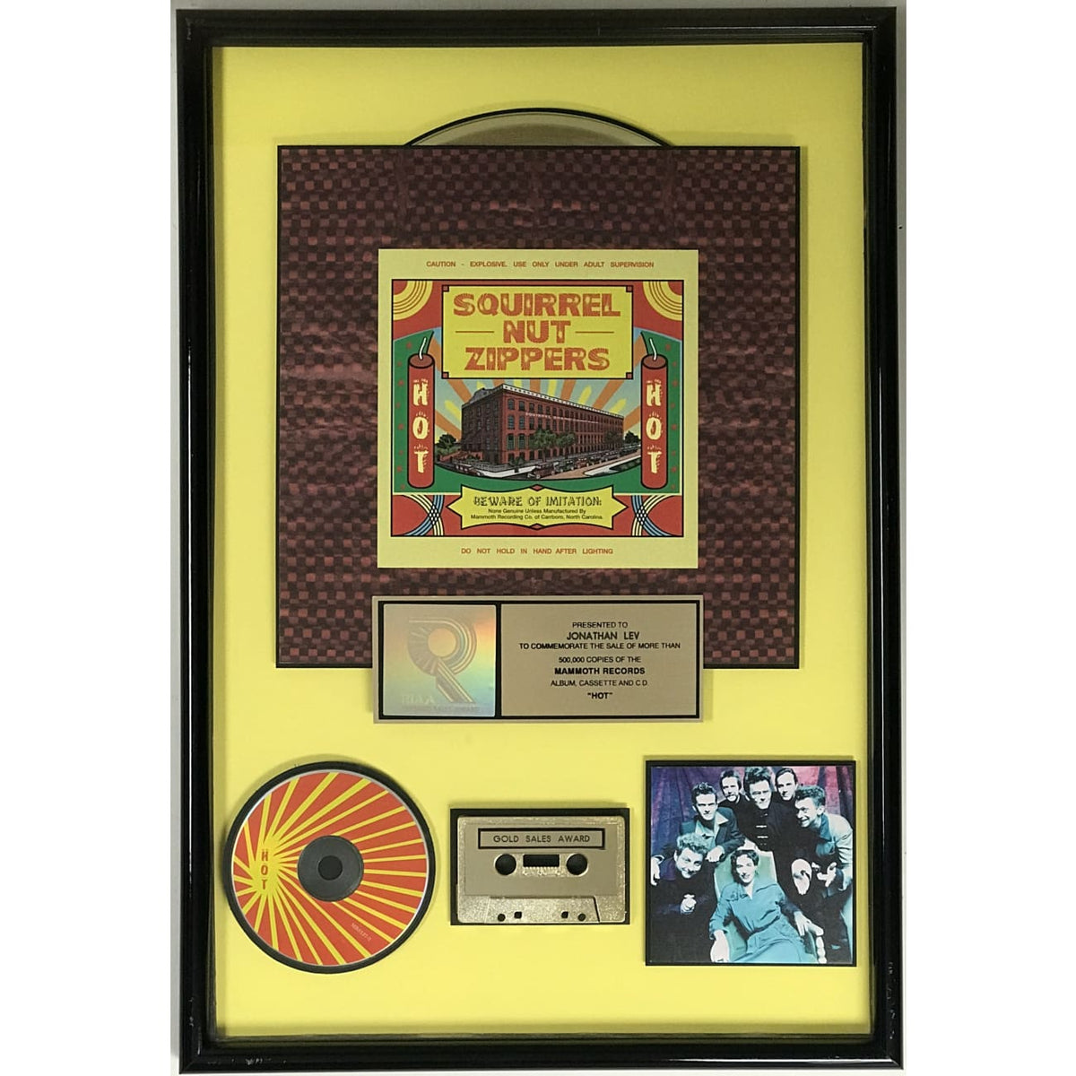 Squirrel Nut Zippers Hot RIAA Gold Album Award – MusicGoldmine.com