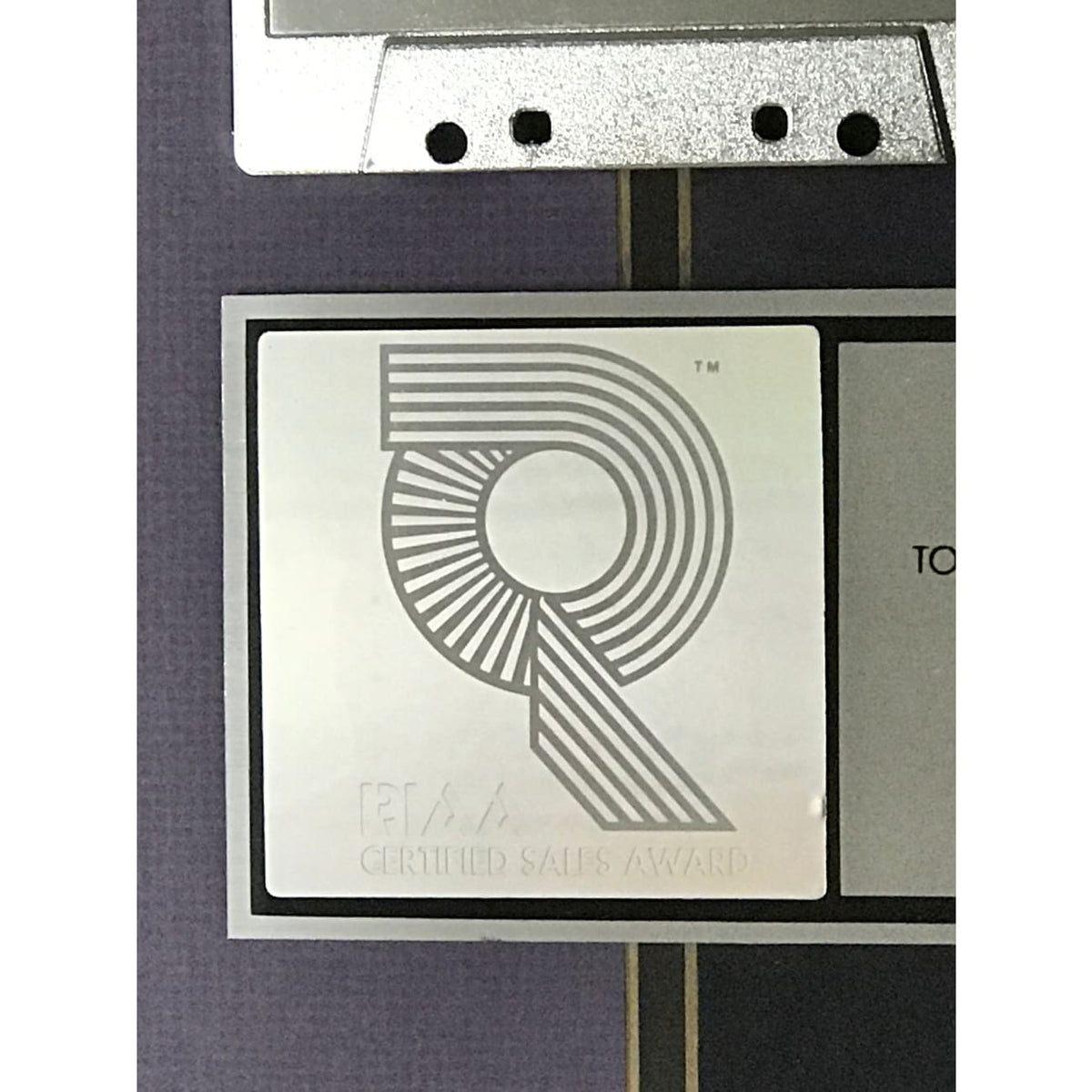 musicgoldmine.com - Vanessa Williams The Comfort Zone RIAA Platinum ...